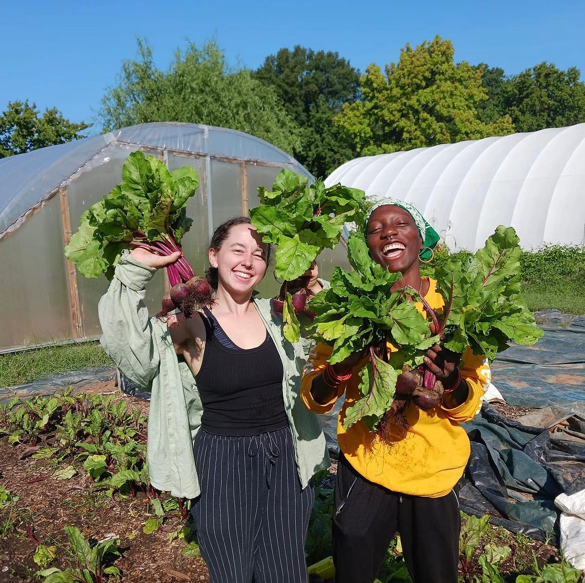 2024 CSA – ECO City Farms