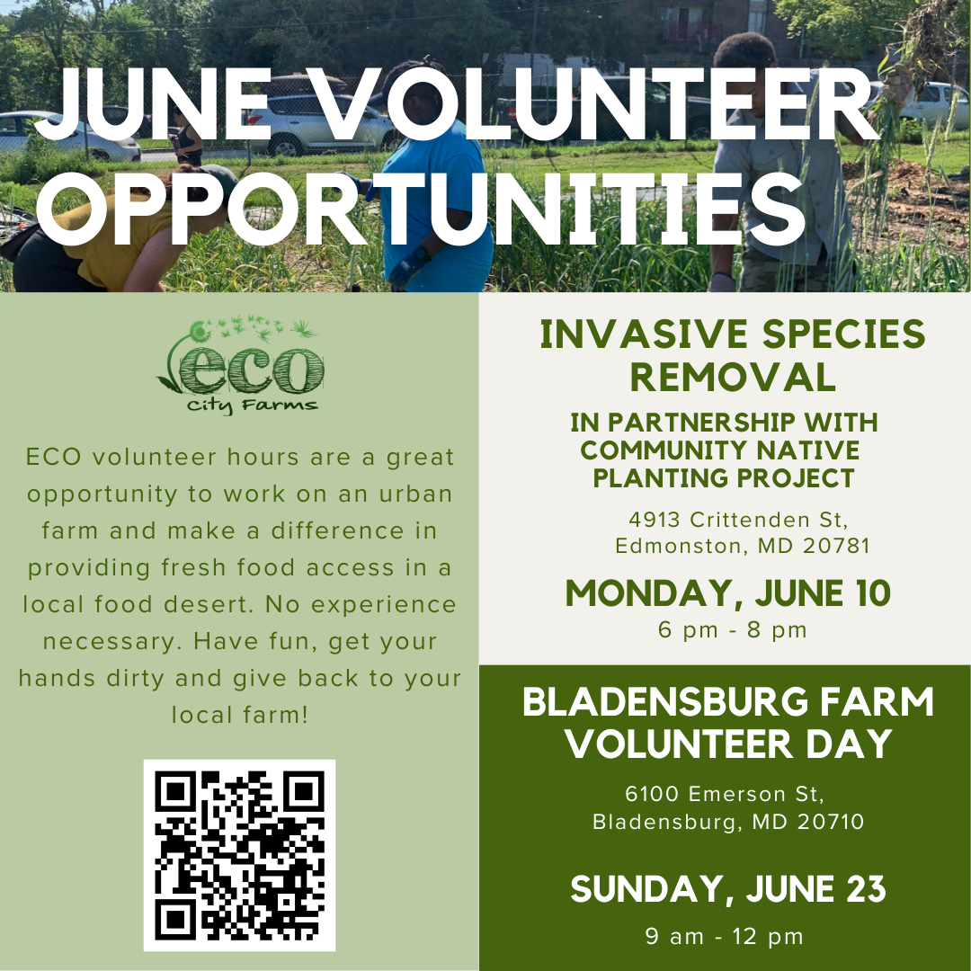 June Offerings – ECO City Farms